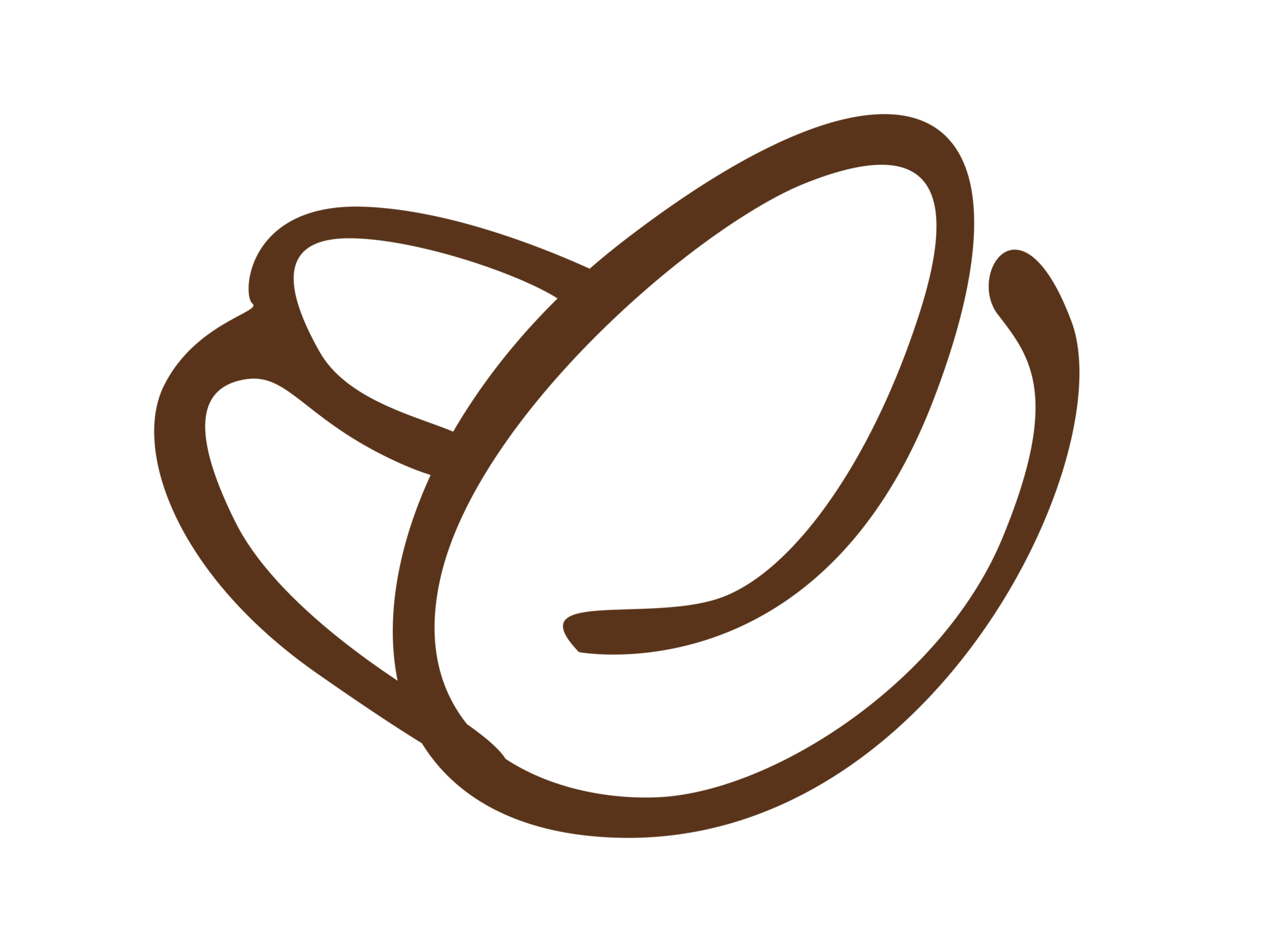 Asrar Café – Rival Hotel